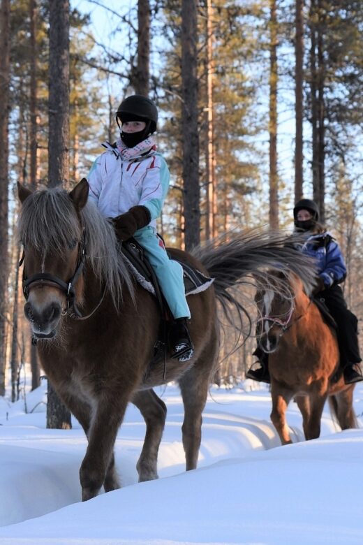 Levi: Snowy Forest Ride and Polar Lights Tours - FAQ