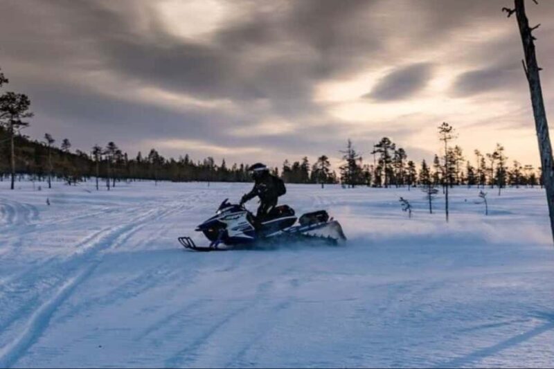 Levi: Twilight Snowmobile Safari & Stargazing Experience - Key Points