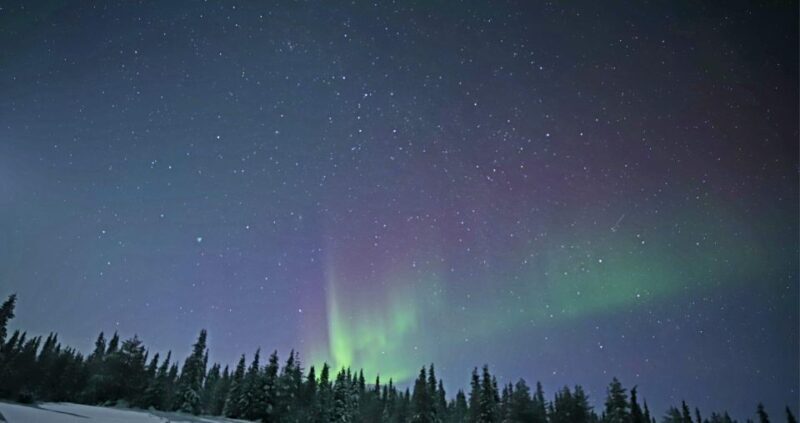 Levi: Twilight Snowmobile Safari & Stargazing Experience - Who Should Consider This Tour?