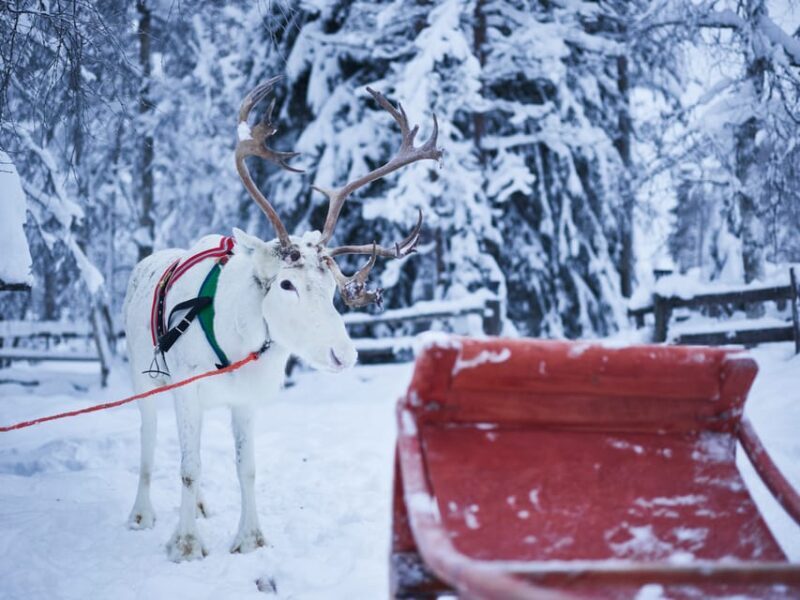 Levi: Winter Highlights Family Day - Key Points