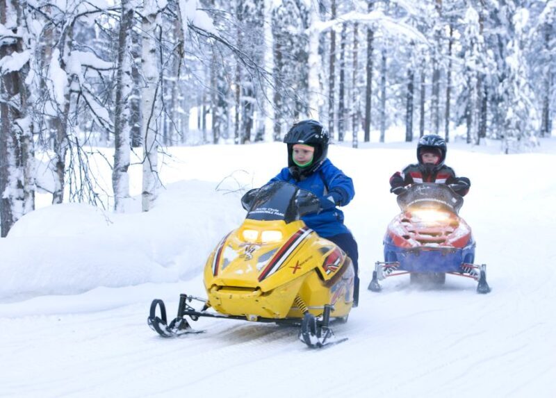 Levi: Winter Highlights Tour with Snowmobiling - A Deep Dive into the Tour Experience