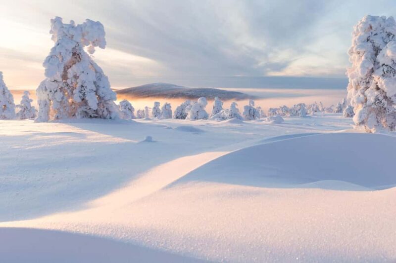 LEVI Winter Snowshoeing in the Wilderness (ALL INCLUDED) - Key Points