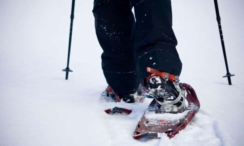 LEVI Winter Snowshoeing in the Wilderness (ALL INCLUDED) - Practical Details and What to Expect