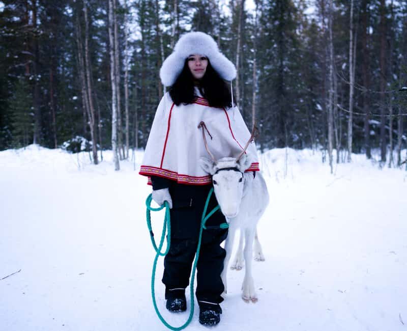 Levi: Winter Wilderness Husky & Reindeer Safari Combo Tour - Key Points