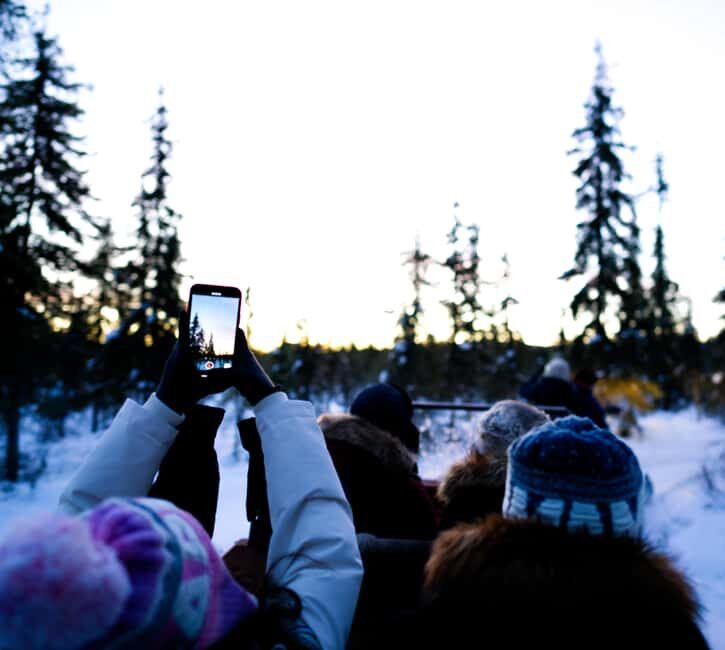 Levi: Winter Wilderness Husky & Reindeer Safari Combo Tour - Practical Details and Value