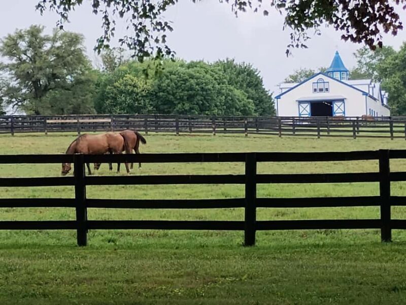 Lexington: Thoroughbred Horse Farm Tour and Scenic Bluegrass - Key Points