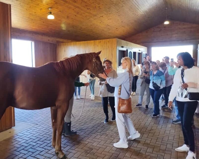 Lexington: Thoroughbred Horse Farm Tour and Scenic Bluegrass - The Sum Up