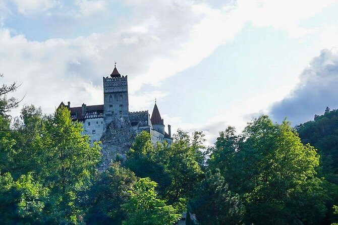 Libearty Bear Sanctuary and Dracula's Castle - Day Tour from Bucharest - Frequently Asked Questions