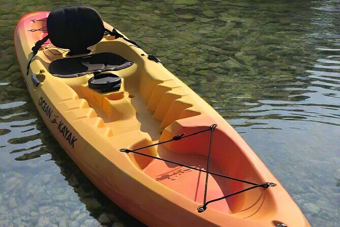 Liberty Bay Wildlife Kayaking - Practical Details and Tips