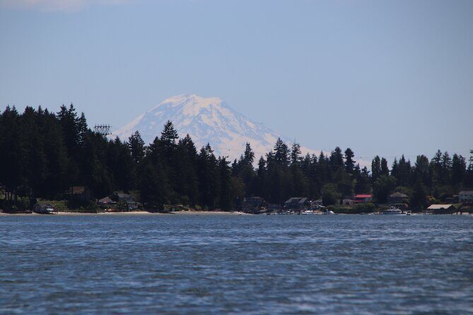 Liberty Bay Wildlife Kayaking - Final Thoughts
