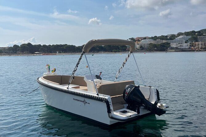 License free boat rental around the coast of santa ponsa - Key Points