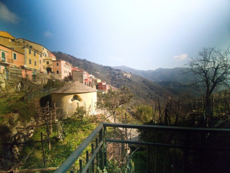 Lievàntu Wine Experience: Tour & tasting in Levanto Valley - Price and Value: Is It Worth It?