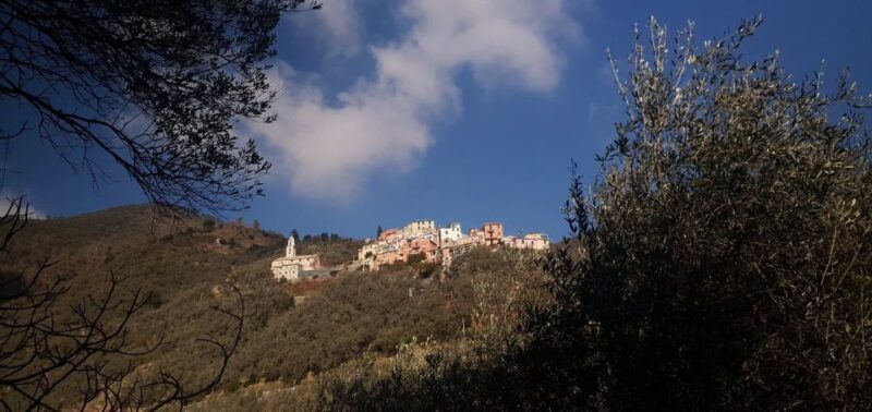 Lievàntu Wine Experience: Tour & tasting in Levanto Valley - Who Will Love This Experience?