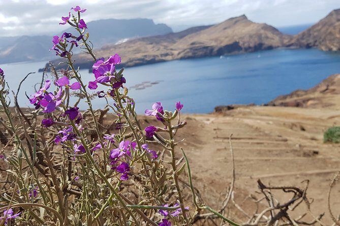 Lighthouse View 3 (Cais do Sardinha, Lighthouse and return to Cais do Sardinha) - Who Will Love This Tour?