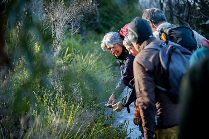 Lighting the Sound Uredale Twilight Hike - What to Expect from the Lighting the Sound Uredale Twilight Hike