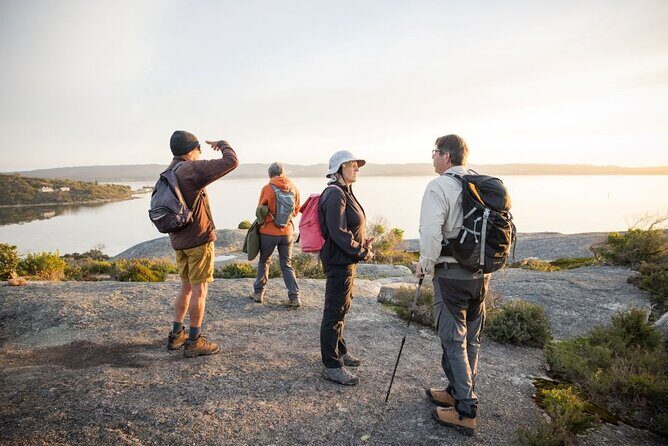 Lighting the Sound Uredale Twilight Hike - The Trail: Coastal Bushland and Granite Rises