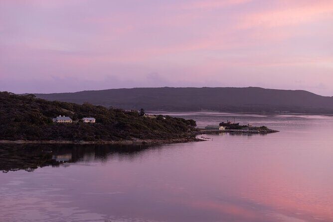 Lighting the Sound Uredale Twilight Hike - The Highlight: Lighting of the Sound Art Installation