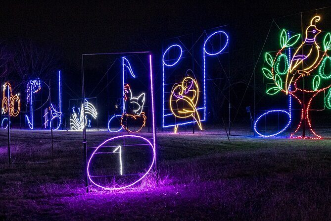 LIghts of Joy Christmas Light Drive-Thru - A Detailed Look at the Lights of Joy Drive-Thru