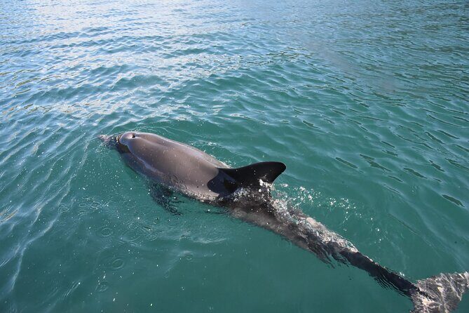 Lim Bay Outrigger Canoe Tour - Practical Details: What to Expect