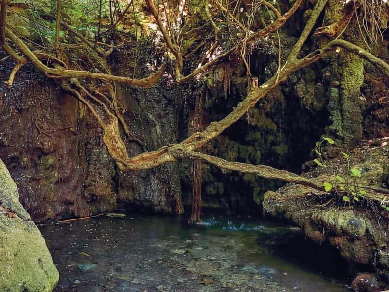 Limassol: Aphrodite Baths & Blue Lagoon Bus & Boat Day Trip - Key Points