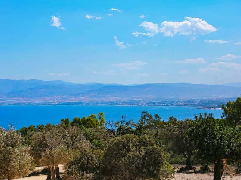 Limassol: Blue Lagoon and Aphrodites Birthplace Day Tour - Who Will Love This Tour?