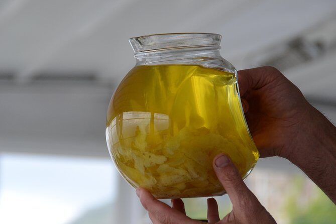 Limoncello Making and lunch with lemon base - The Sum Up