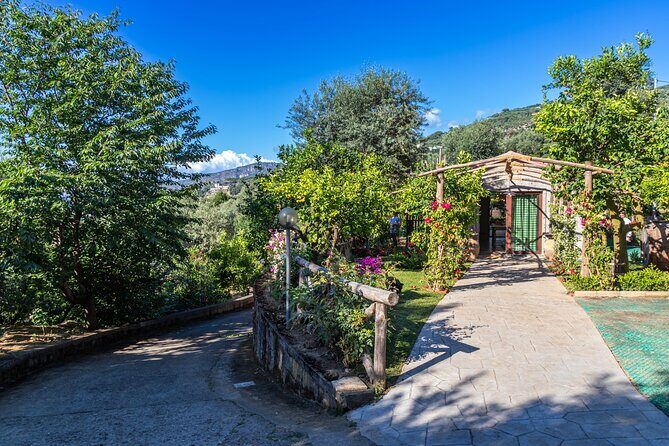 Limoncello Making And Tasting Experience - Key Points