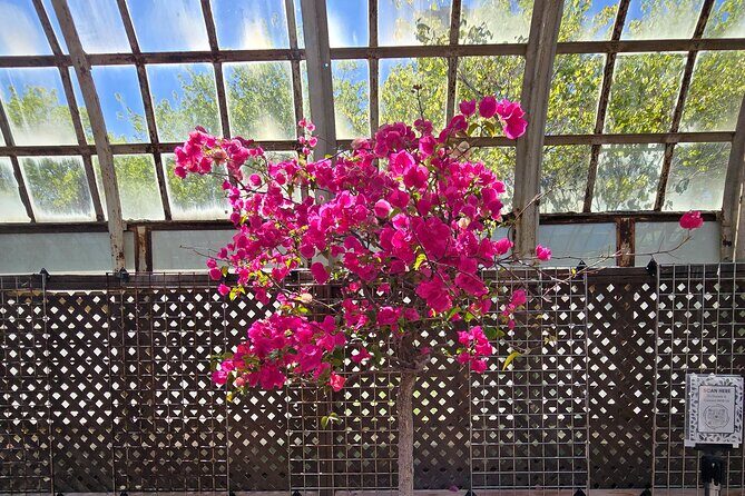 Lincoln Park Nature Museum and Zoo Public Walking Tour - Practical Details and What to Expect