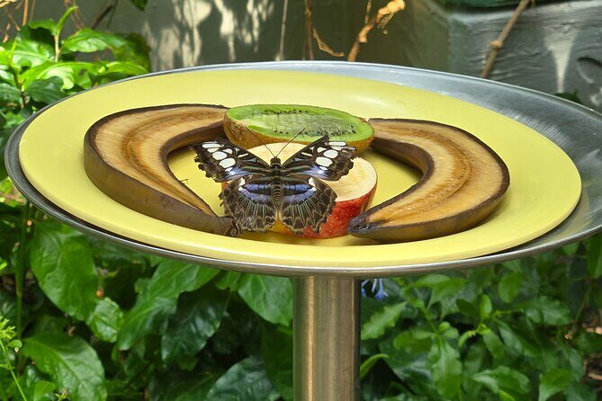 Lincoln Park Nature Museum and Zoo Public Walking Tour - Who Will Love This Tour?