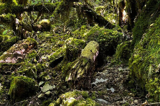 Lindeman and Chilliwack Lakes Sightseeing Tour - Final Thoughts