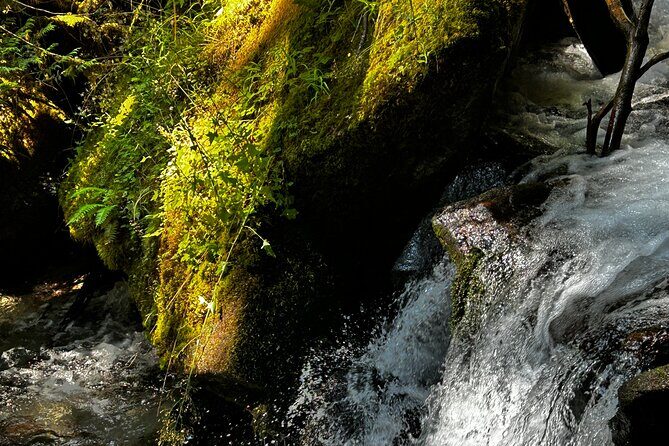 Lindeman and Chilliwack Lakes Sightseeing Tour - FAQs About the Lindeman and Chilliwack Lakes Tour