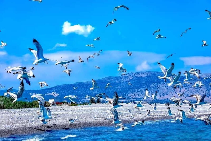 Lindos: 1.5 Hour Glass-Bottom Boat Cruise with Swim Stops - Introduction