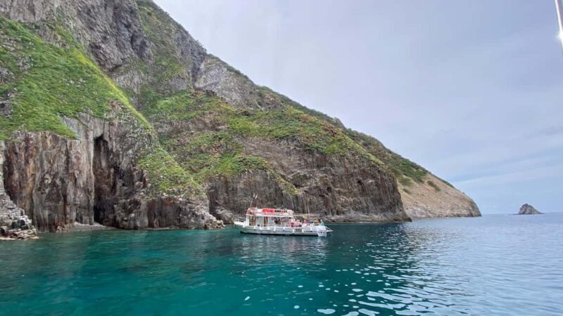 Linea isola di Palmarola - FAQs