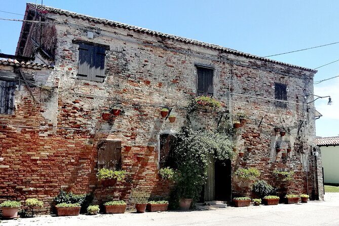 Lio Piccolo: Flamingos & Birdwatching Bike Tour in the Lagoon - The Sum Up: Who is This Tour For?