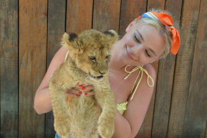 Lion Safari and Green Canyon Splash Feast with Lunch - Key Points