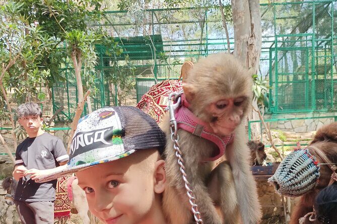 Lion Safari and Green Canyon Splash Feast with Lunch - The Itinerary Breakdown