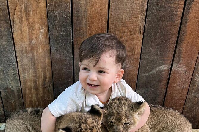 Lion Safari and Green Canyon Splash Feast with Lunch - Guides, Transportation, and Group Size