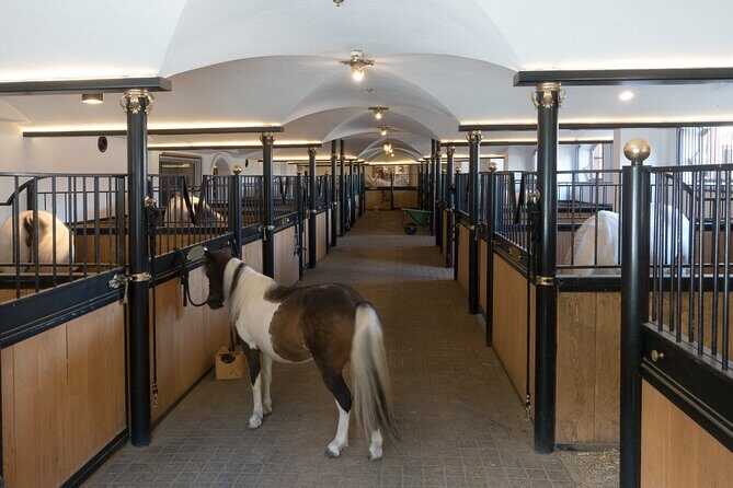 Lipica Stud Farm and Skocjan Caves from Koper - Final Thoughts: Is It Worth It?