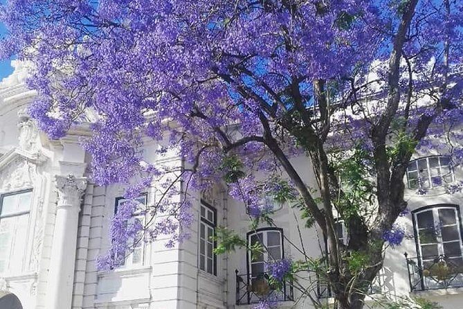 Lisbon 3 Hour Private Segway Cultural Tour with Local Guide - Who Should Consider This Tour?