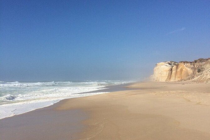 Lisbon Airport Private Transfer to Comporta - Why This Transfer Offers Great Value