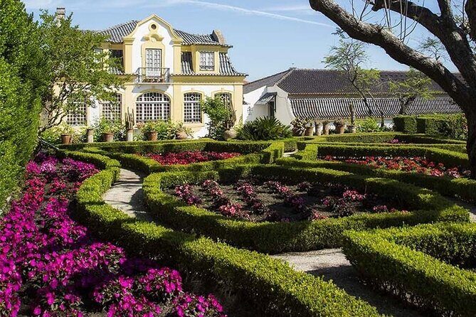 Lisbon : Arrábida and Sesimbra c/ Castelo Palmela and wine tasting - Serra da Arrábida: Nature’s Masterpiece
