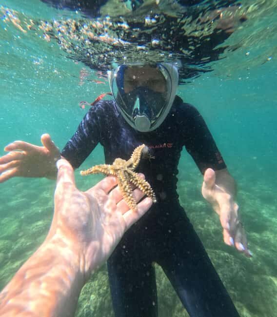 Lisbon: Arrábida Kayak & Wild Beach Snorkeling Pickup Option - FAQ