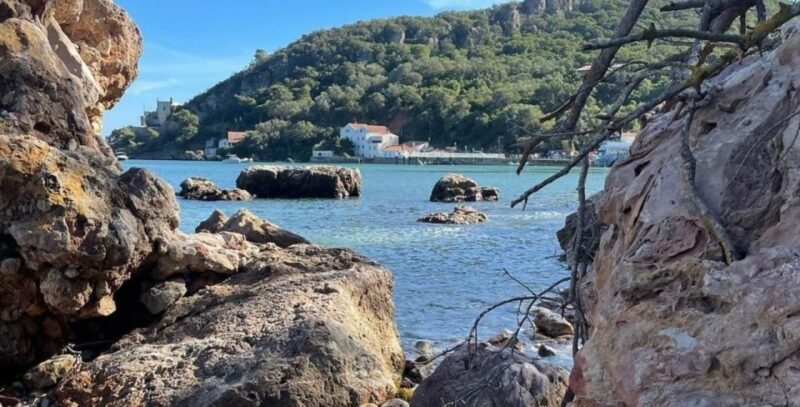 Lisbon: Arrábida & Sesimbra w/ Palmela Castle & Wine Tasting - An In-Depth Look at the Tour