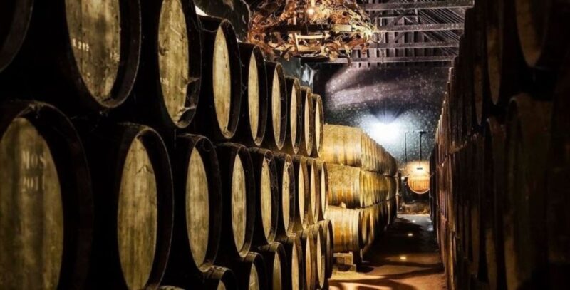 Lisbon: Arrábida & Sesimbra w/ Palmela Castle & Wine Tasting - Visit to Palmela Castle (1.5 hours)