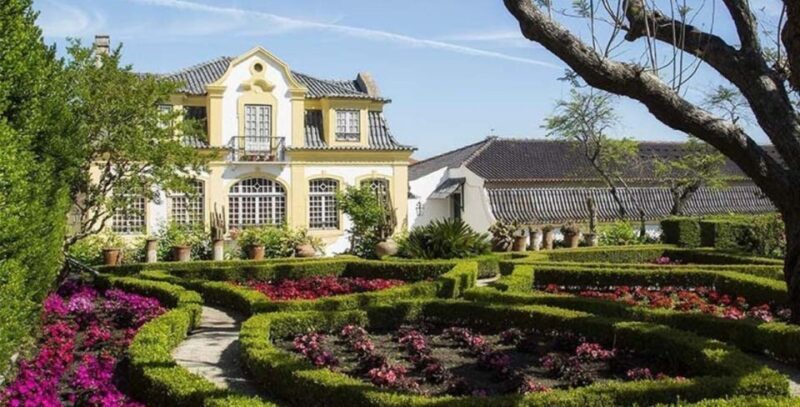 Lisbon: Arrábida & Sesimbra w/ Palmela Castle & Wine Tasting - Exploring Azeitão (15-minute stop)