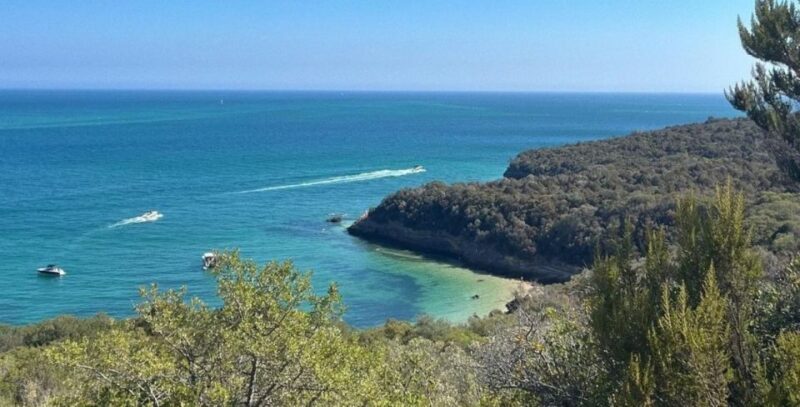 Lisbon: Arrábida & Sesimbra w/ Palmela Castle & Wine Tasting - Scenic Drive through Arrábida Natural Park (1.5 hours)