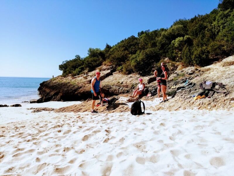 Lisbon: Arrábida Snorkeling Adventure - Key Points