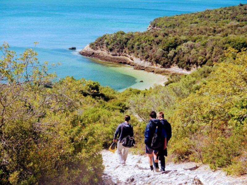 Lisbon: Arrábida Snorkeling Adventure - A Closer Look at the Tour Itself