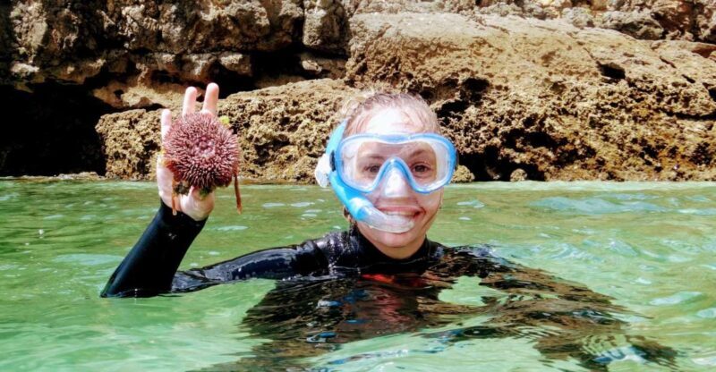 Lisbon: Arrábida Snorkeling Adventure - Authentic Experiences from Reviews