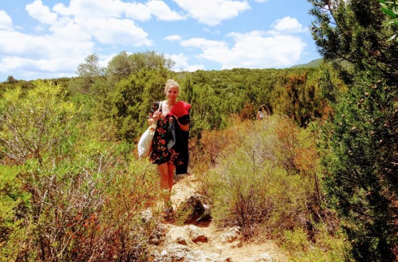 Lisbon: Arrábida Snorkeling Adventure - Who Is This Tour Best For?